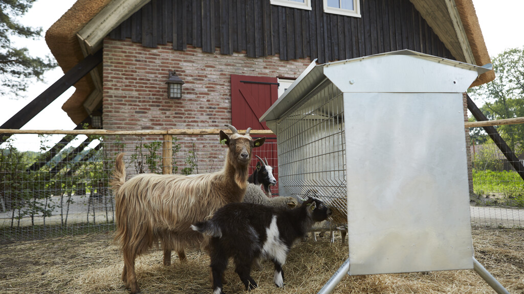 Pour petits et grands - Efteling Loonsche Land