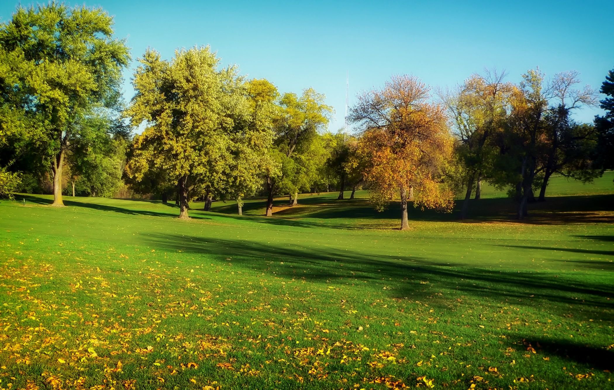 The best parks in Staines-upon-Thames