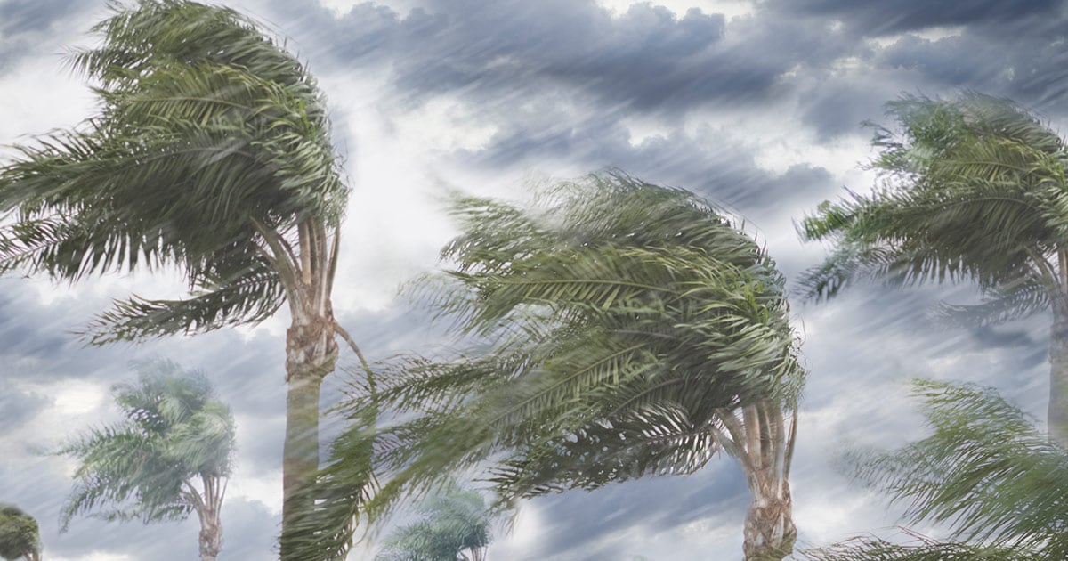 Hurricane insurance coverage: The complete guide | VIU by HUB