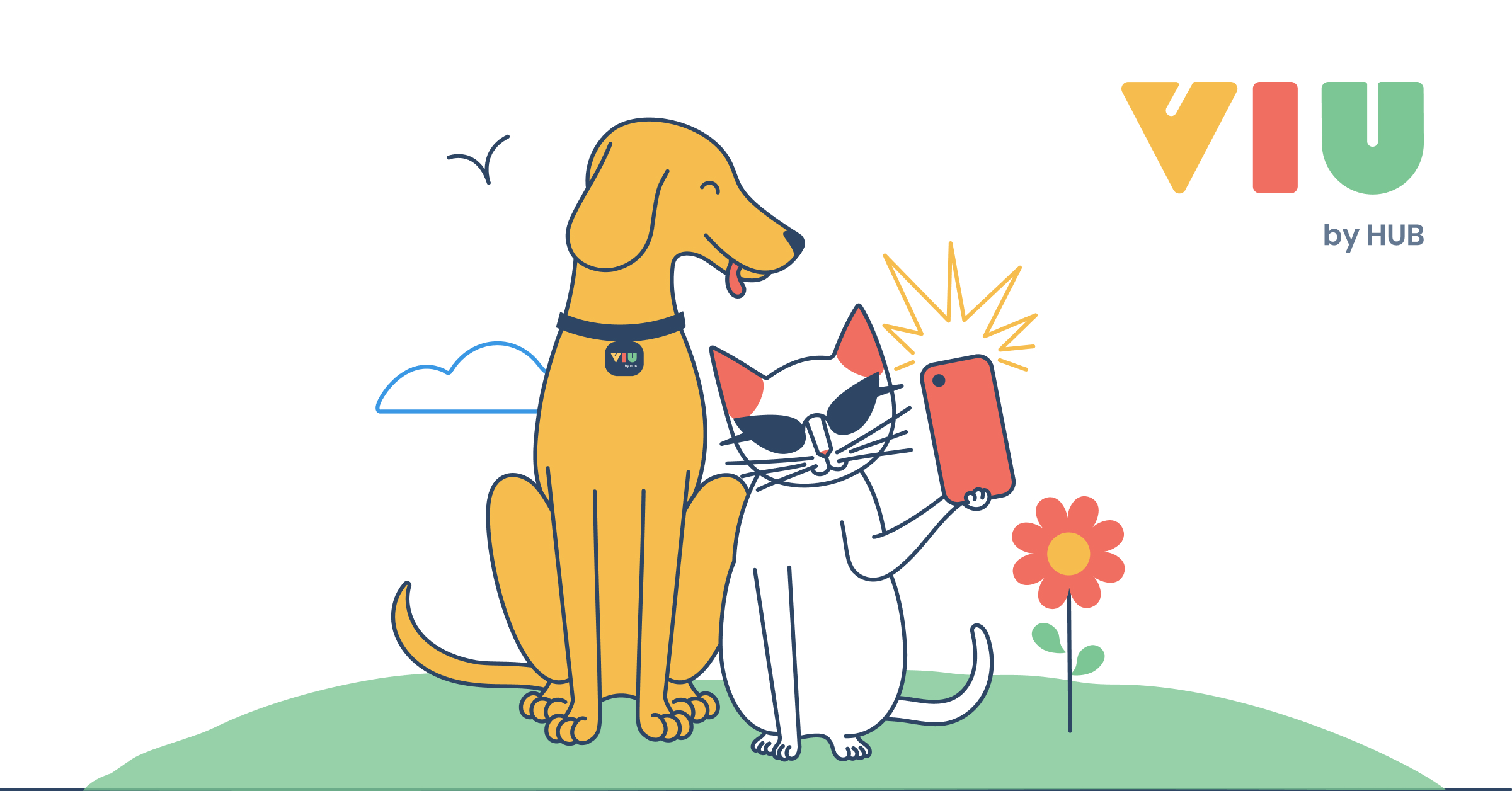 Pet insurance (Cats & Dogs) Quotes Policy Plan Coverage | VIU by HUB