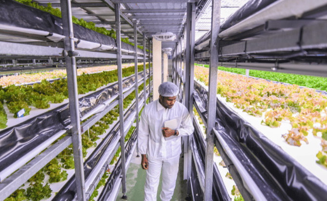 Traceability in the food and beverage industry | IFS