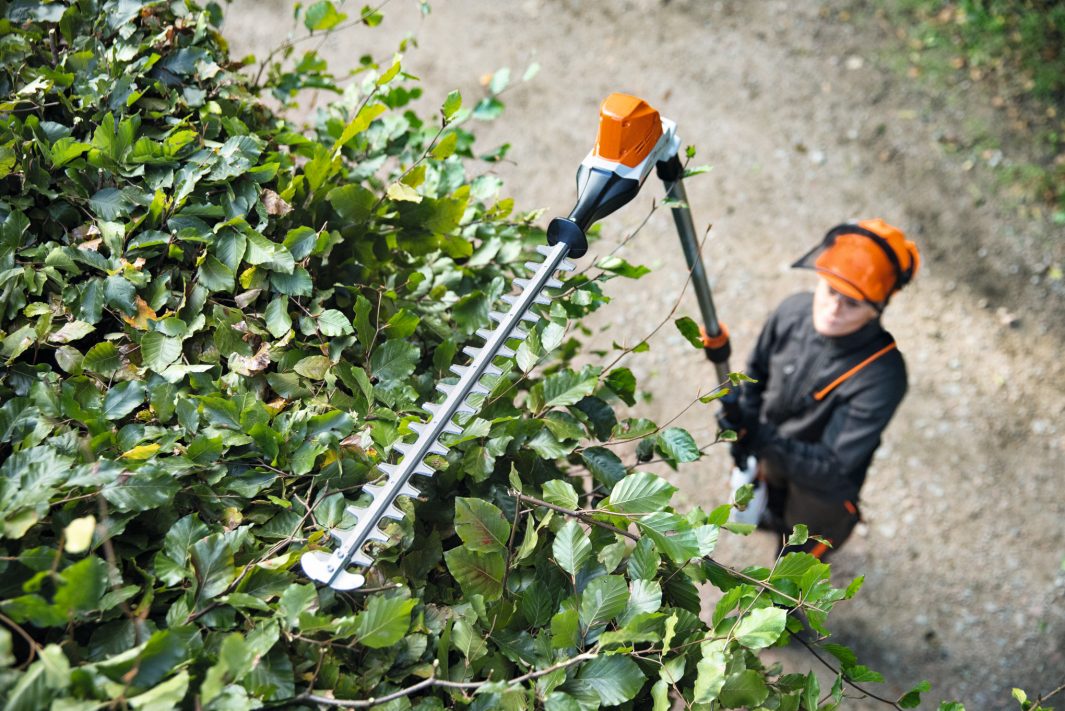 Cordless Telescopic Hedge Trimmer For Rent - Hire Lawn and Gardening ...