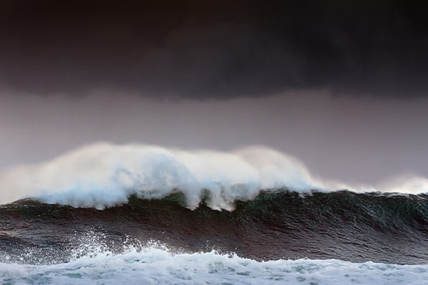 Seven Elements of Successful Investigations