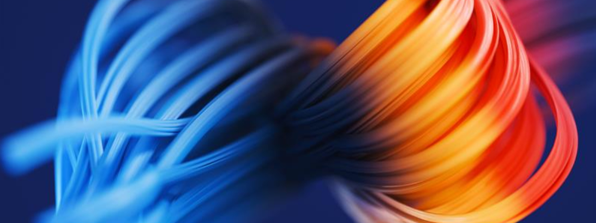 UPChronicle - January 2026