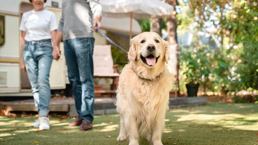 Get DMCC Ready: Yet another ASA ruling on pricing claims. Has the penny ...