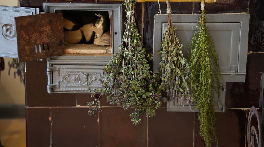 The electrifying sAGA continues: Court of Appeal decision in AGA ...