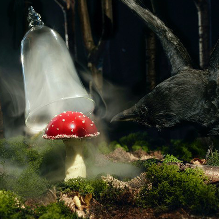 The Collective Showcase: James Bulmer, Founder and CEO of Wonderland ...