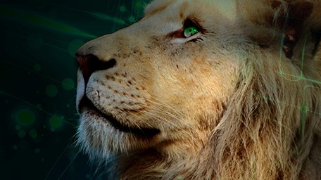 GF Pan-European Dynamic Fund | Liontrust Asset Management PLC