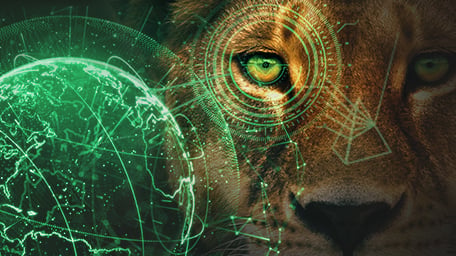 GF High Yield Bond Fund | Liontrust Asset Management PLC