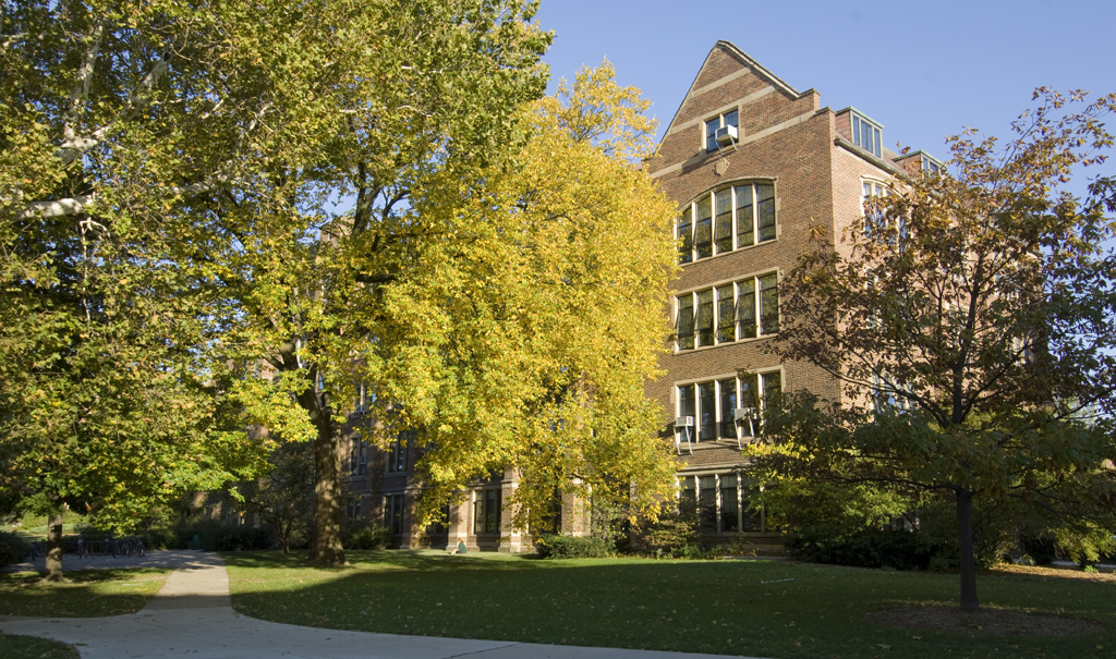 Faculty voice: Strength and resilience | MSUToday | Michigan State ...