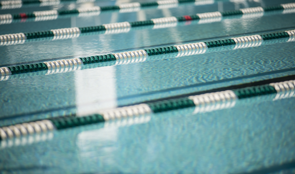 Swimming and diving gives back | MSUToday | Michigan State University