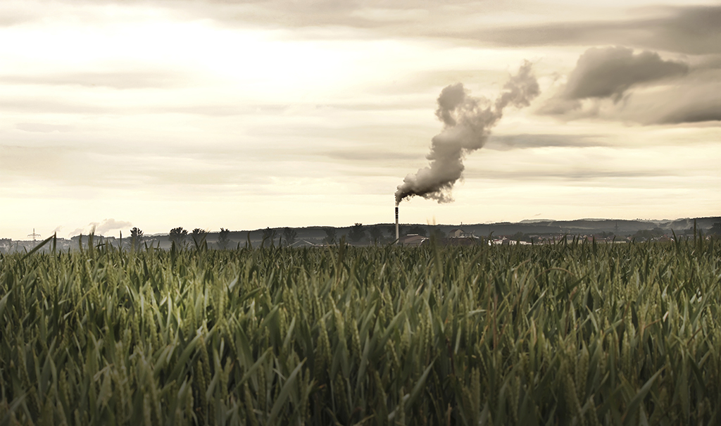 ‘Fate of the Earth’: discussing environmental challenges | MSUToday ...