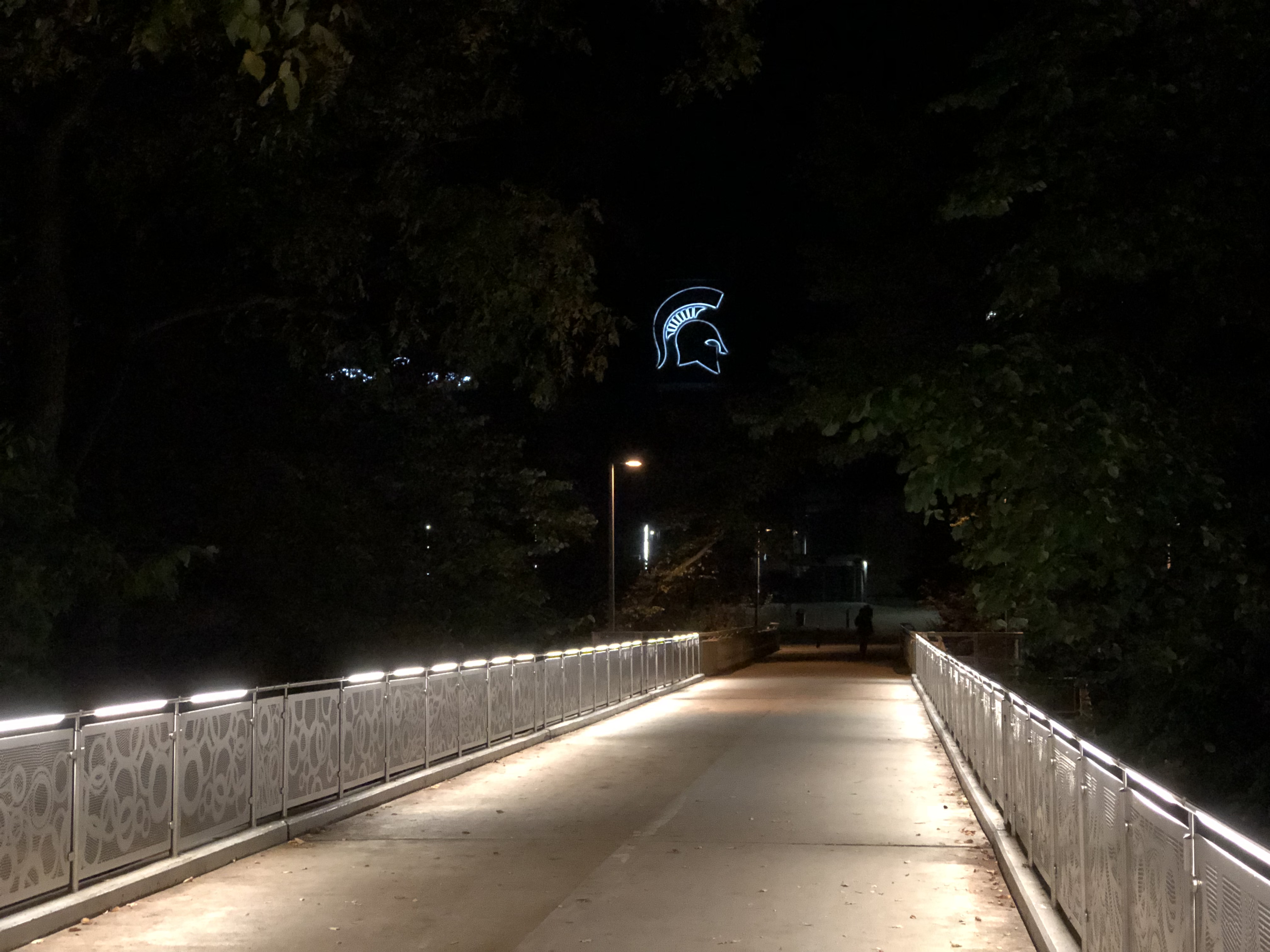 MSU bridge features student’s artwork | MSUToday | Michigan State ...