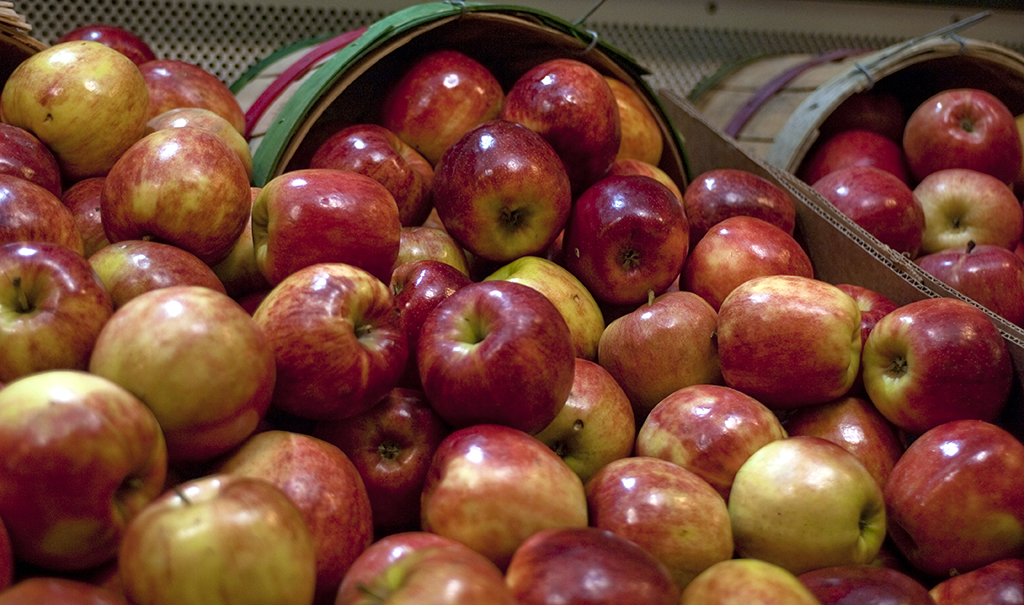 Food for thought | MSUToday | Michigan State University
