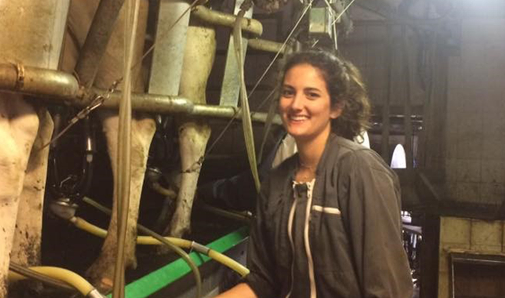 Colleen Joseph: Interning on a farm in France | MSUToday | Michigan ...