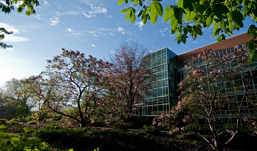 MSU Libraries announce awards to develop open educational resources ...