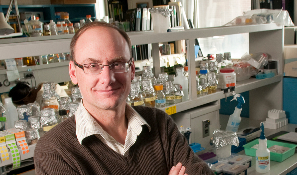 MSU’s Gregg Howe elected to the National Academy of Sciences | MSUToday ...