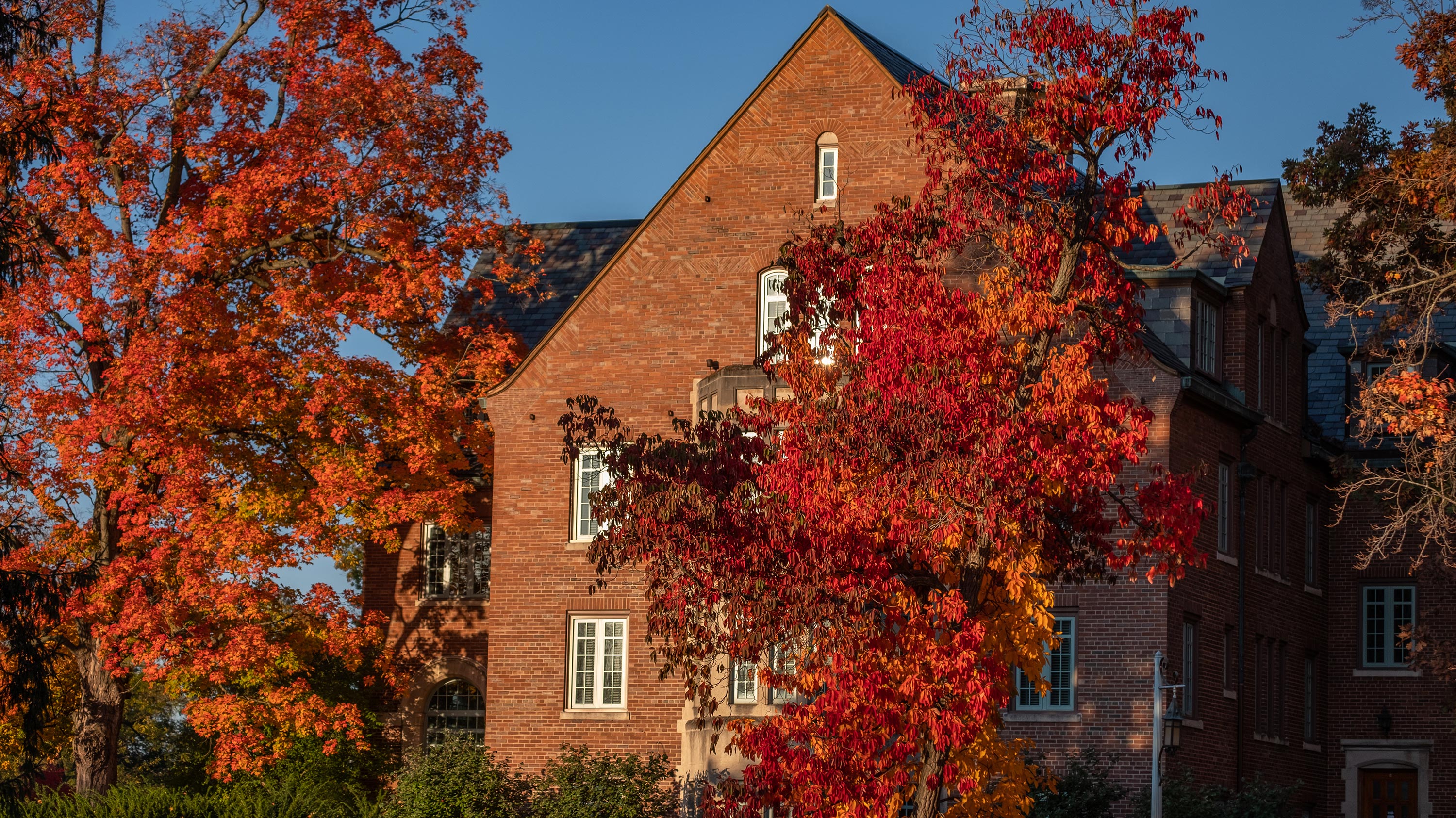 The week in photos | MSUToday | Michigan State University