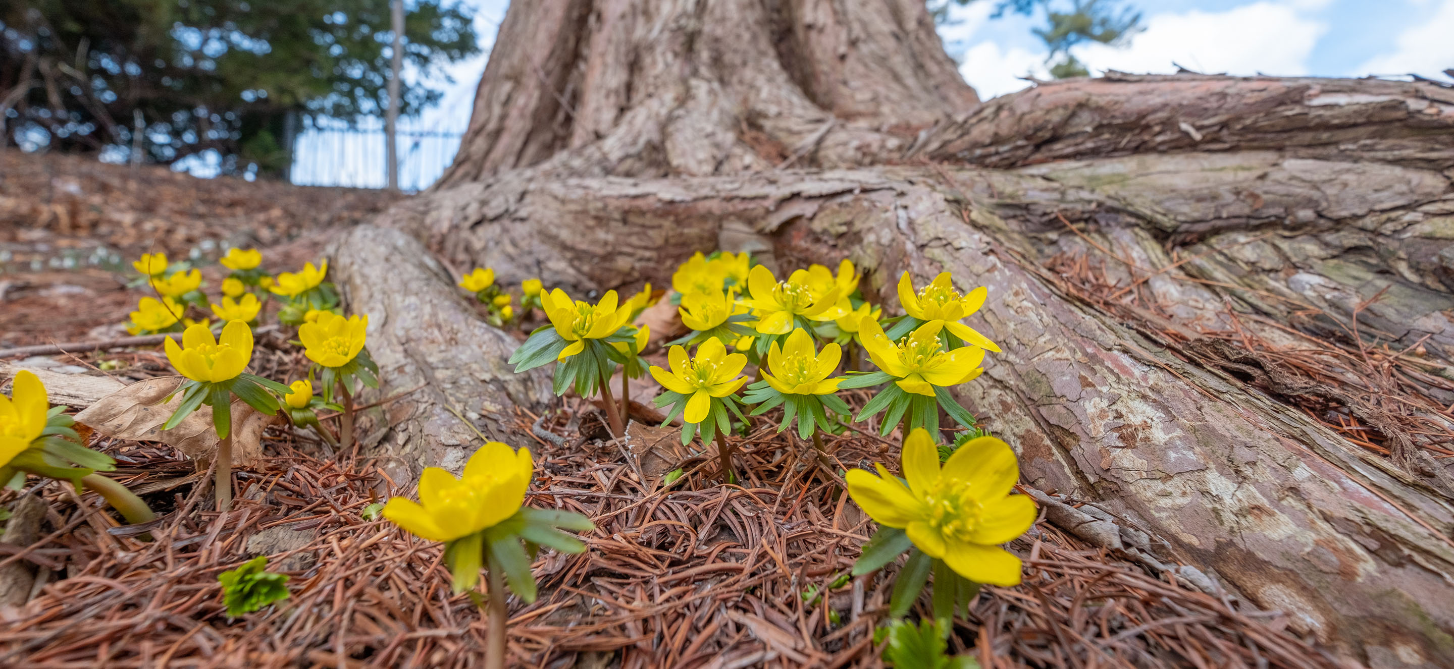 Editor's note: Spring forward | MSUToday | Michigan State University