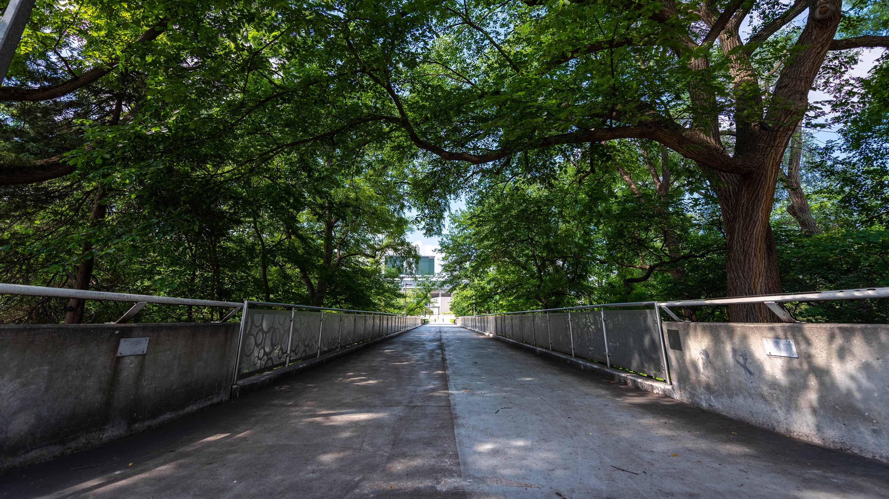 Spartan student-athletes named Big Ten Distinguished Scholars ...