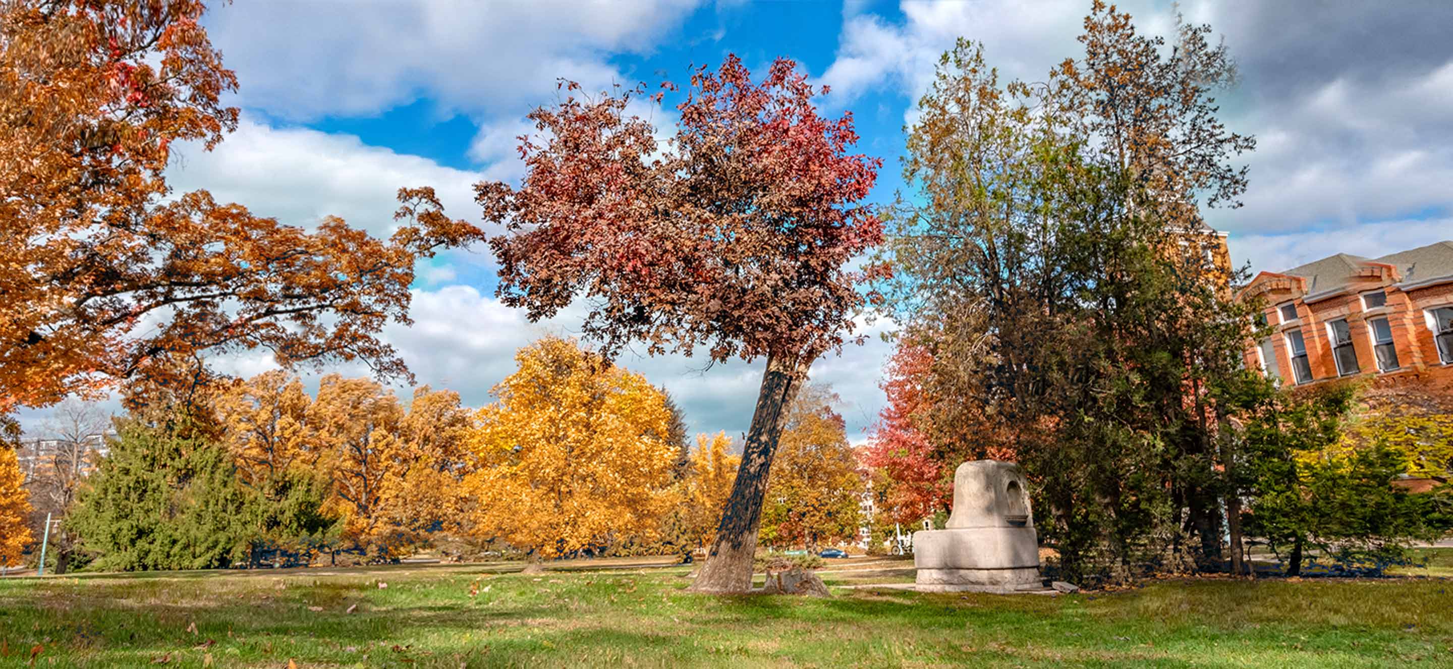 The science, stewardship and stories behind MSU’s trees | MSUToday ...