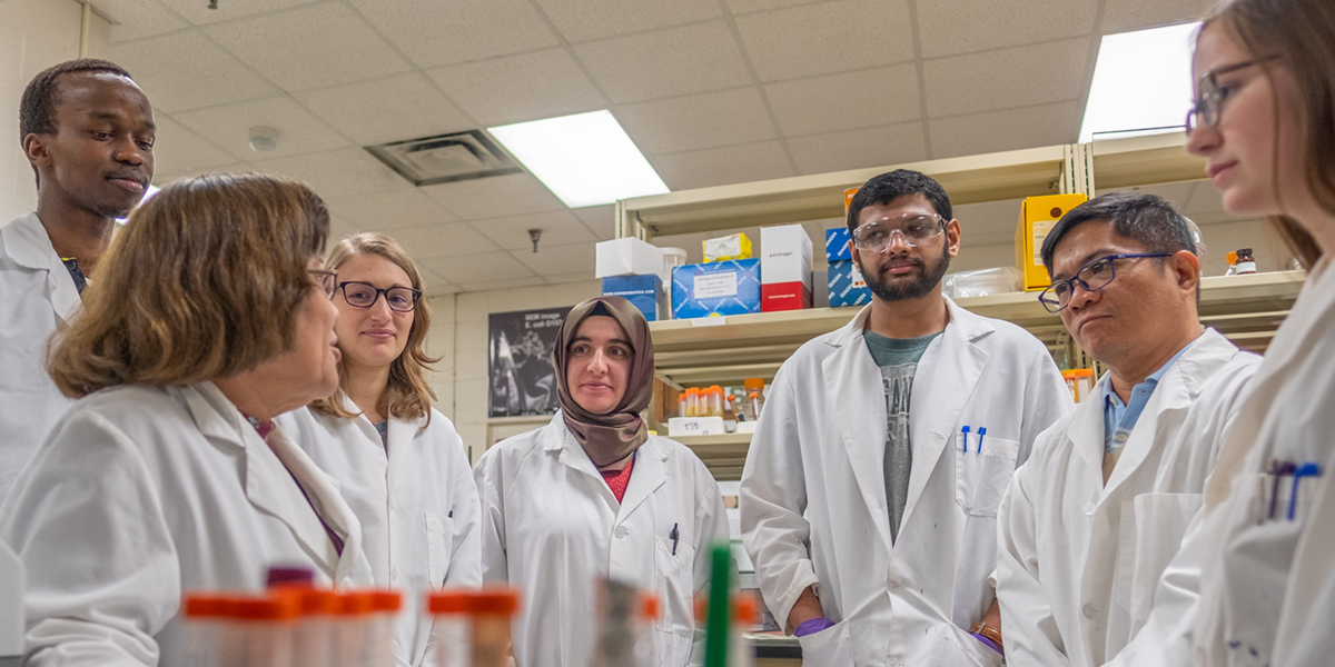 Gender-balanced teams produce more innovative, impactful scientific ...