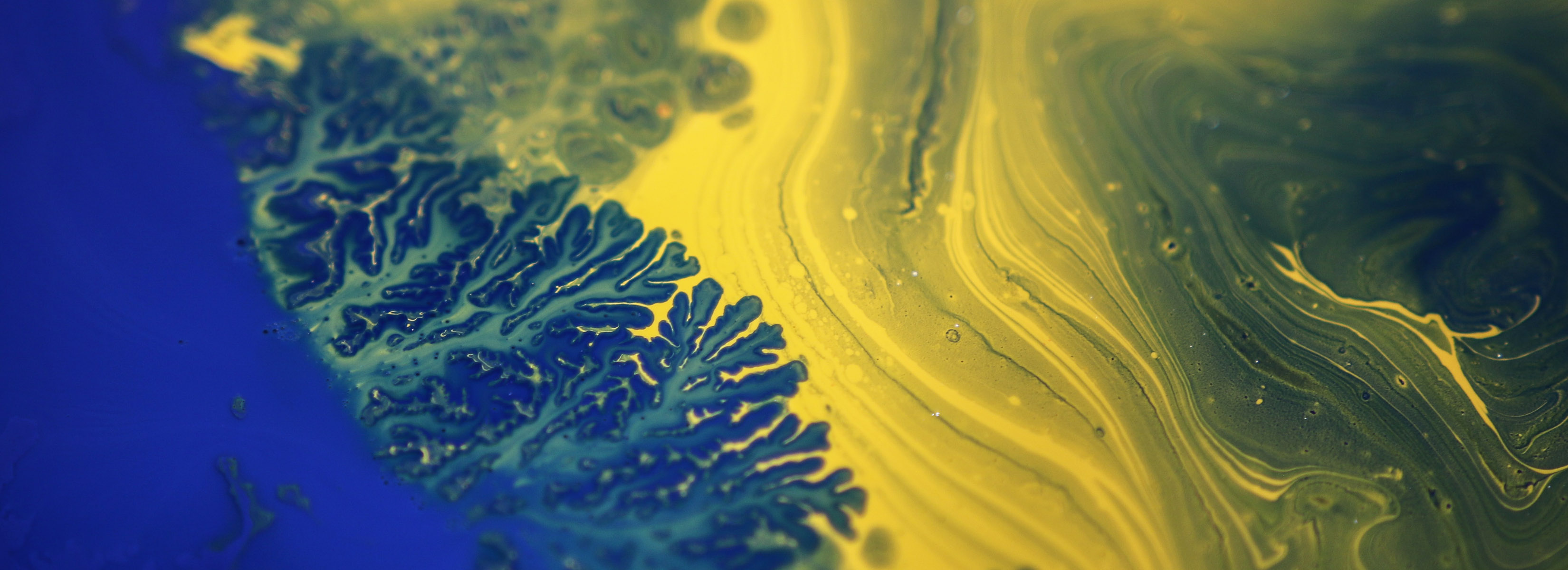 Examining the role of microbes in climate change | MSUToday | Michigan ...
