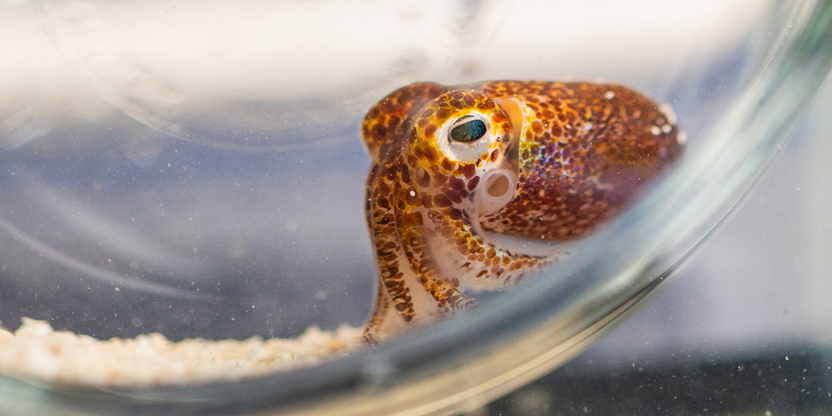 How teamwork — in nature and the lab — can teach us about climate ...