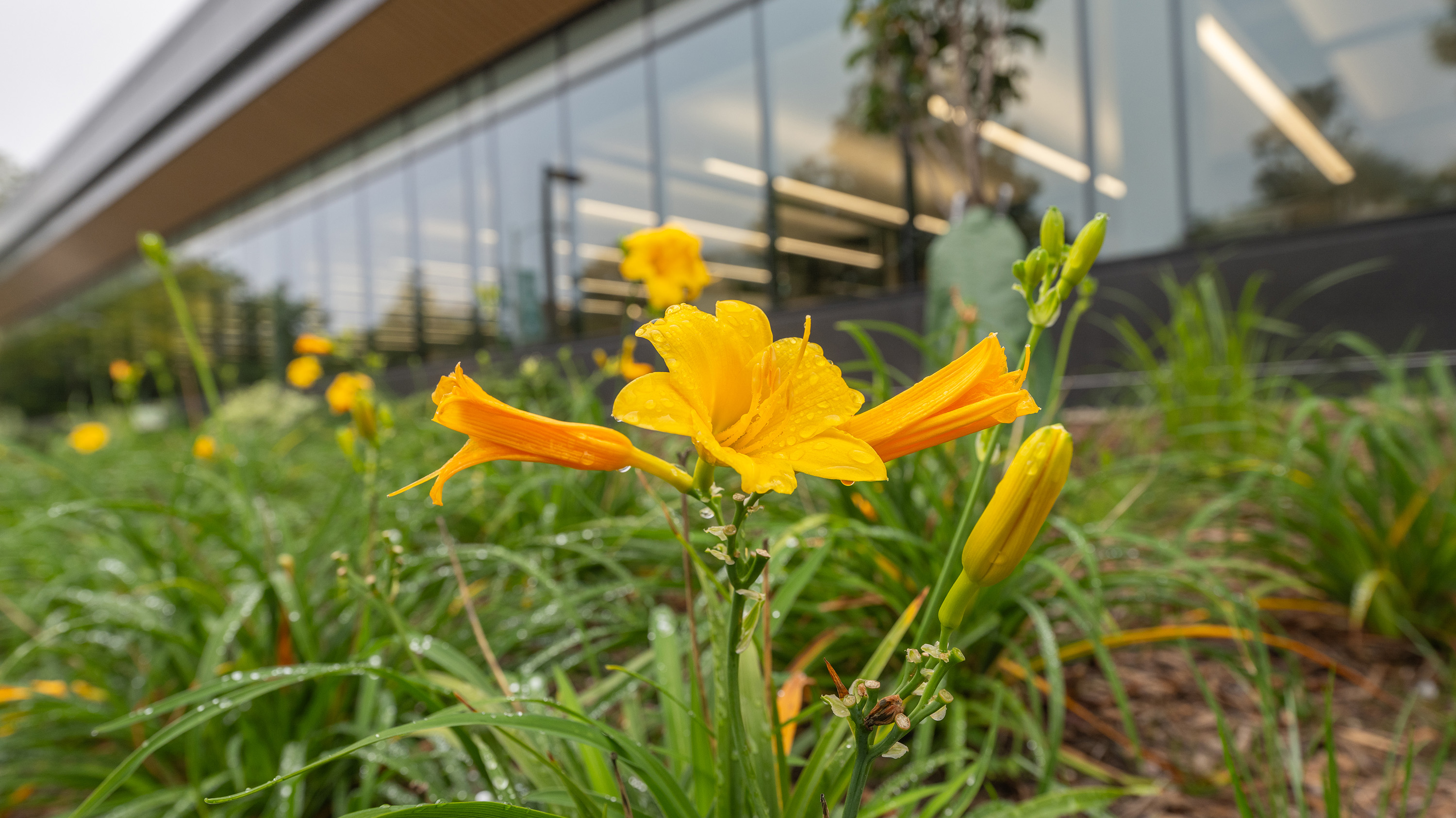 The week in photos | MSUToday | Michigan State University