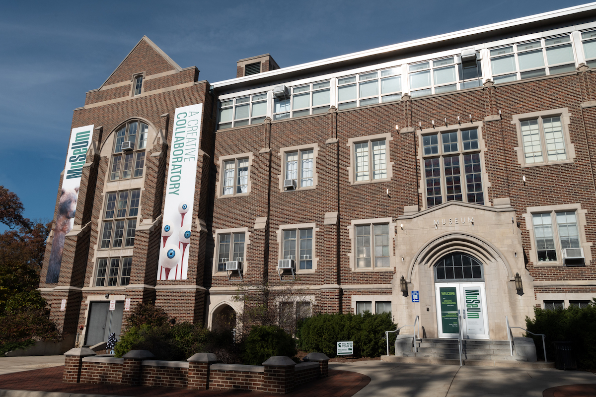 Ask the expert: Why are academic museums across the country rethinking ...