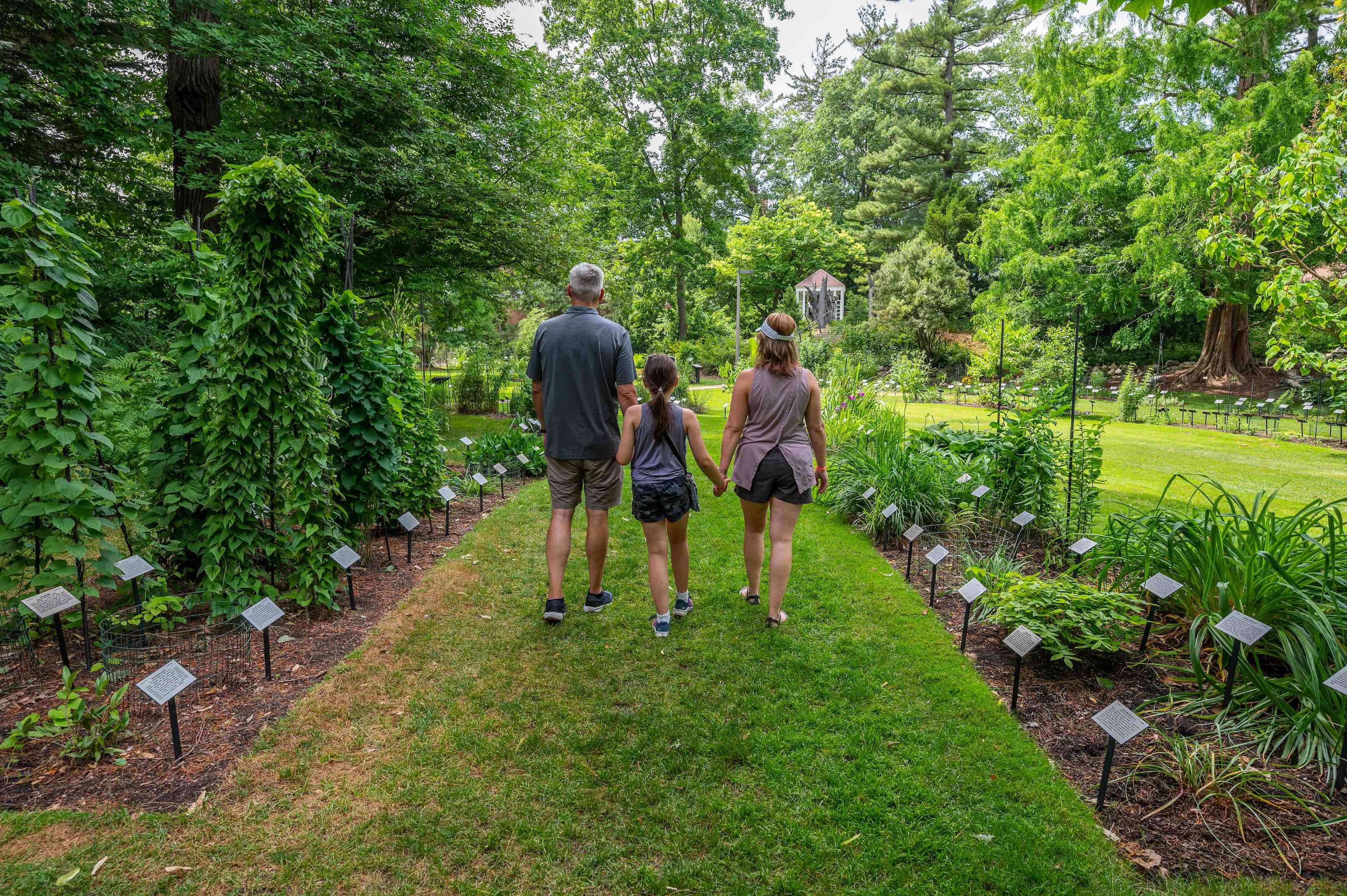 Celebrating 150 years of memories made at the Beal Botanical Garden ...