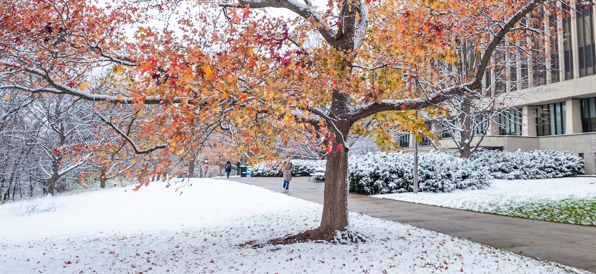 Vision 2050: An integrated facilities and land use plan for MSU ...