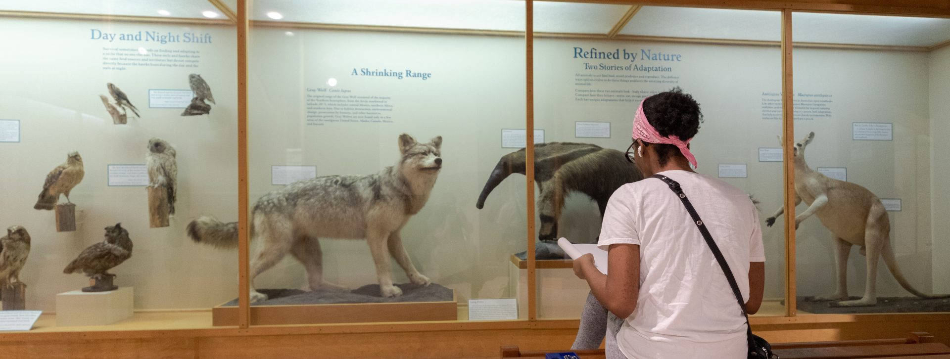 MSU Museum exhibition examines a circular vision of the built ...