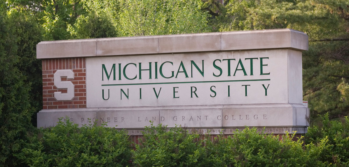 MSU faculty recognized as global top researchers | MSUToday | Michigan ...