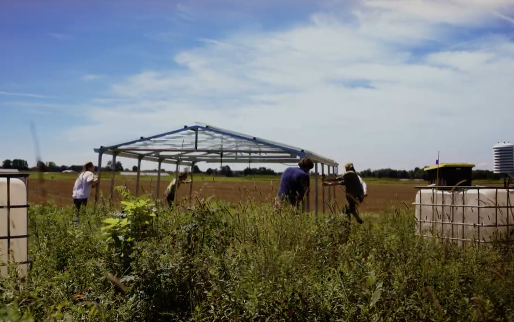 MSU researchers receive $750K grant to study soil health amid changing ...