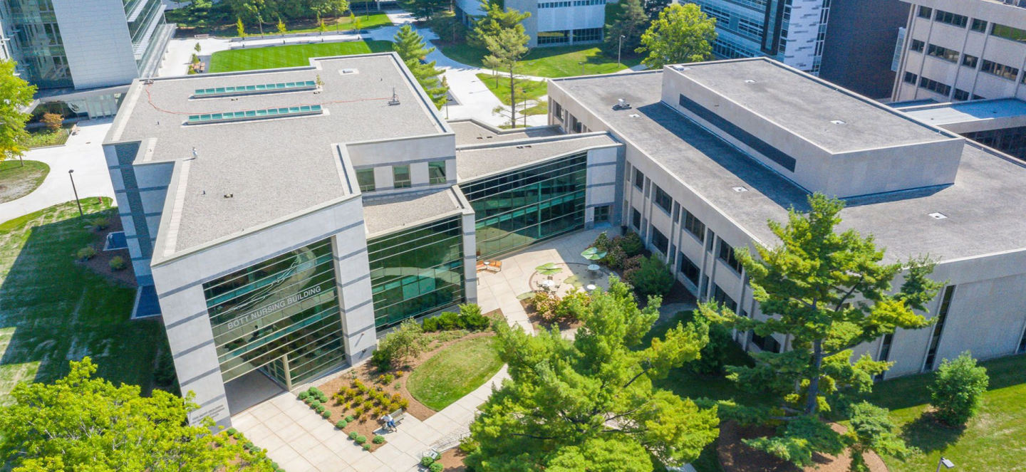 American Academy of Nursing honors 3 MSU faculty members | MSUToday ...