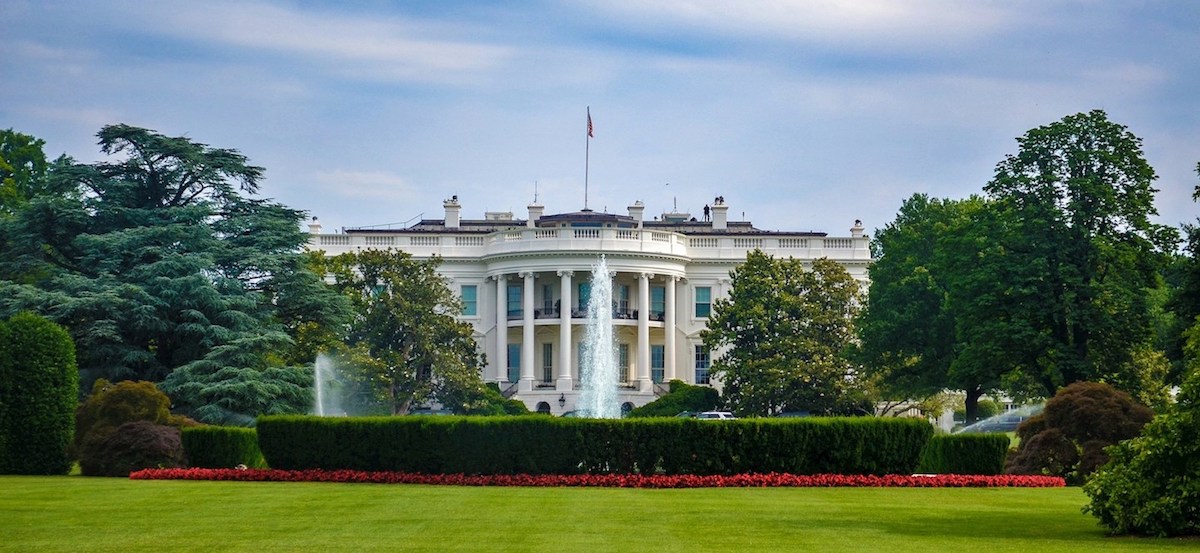 Ask the experts: How a Harris nomination could change the presidential election? | MSUToday ...