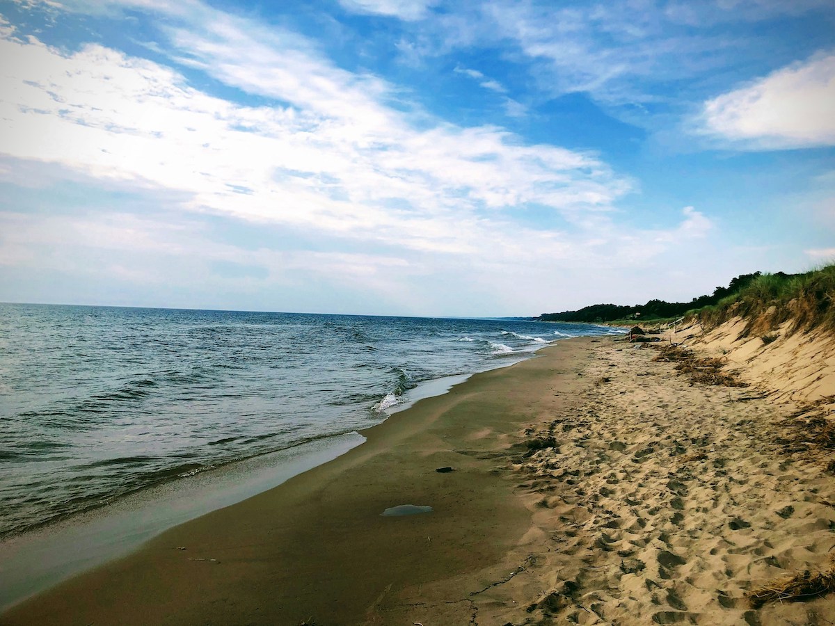 Contamination forces beach closures: MSU experts can comment | MSUToday | Michigan State University
