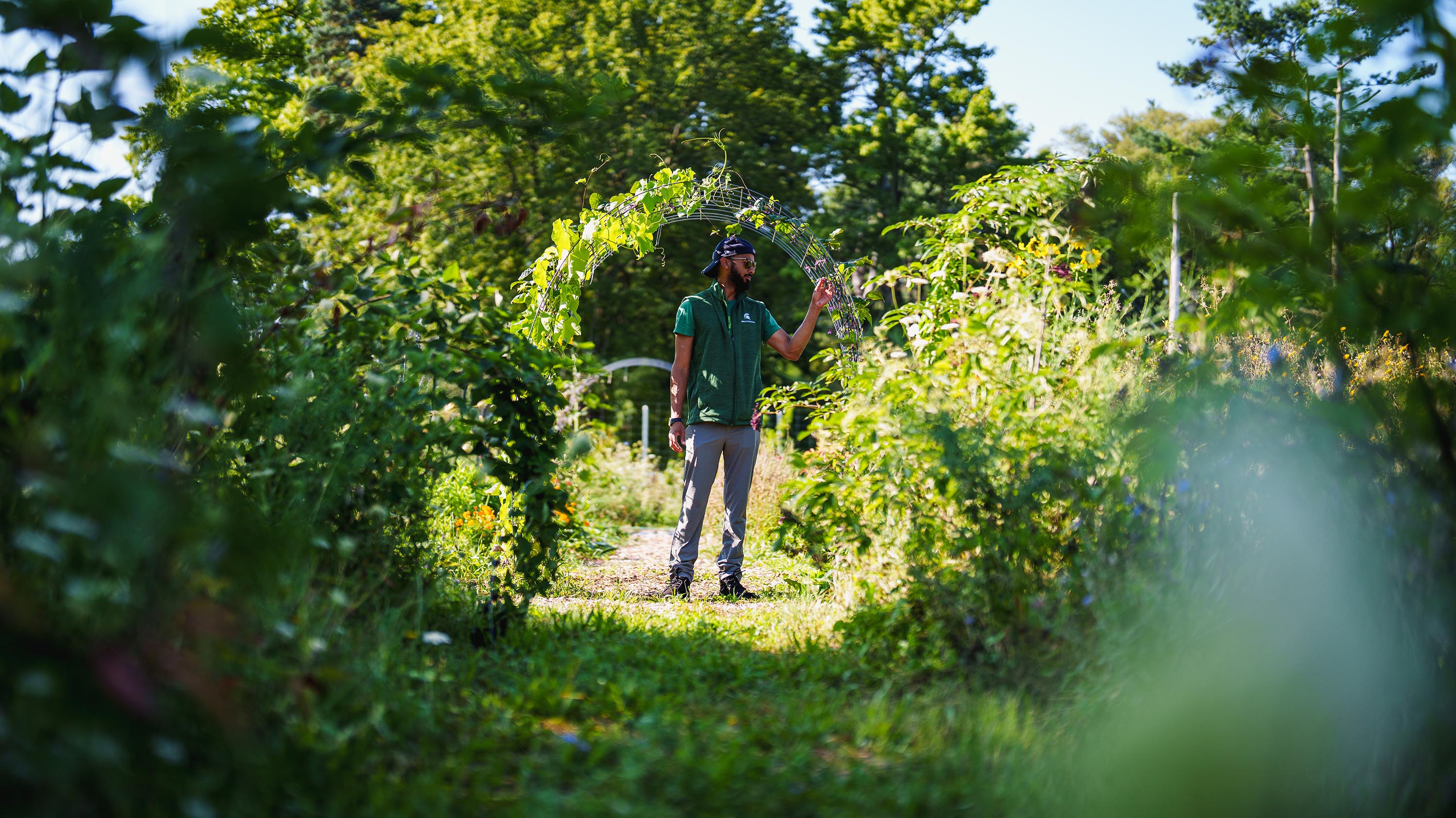 Spartan science protects the food on your table | MSUToday | Michigan ...