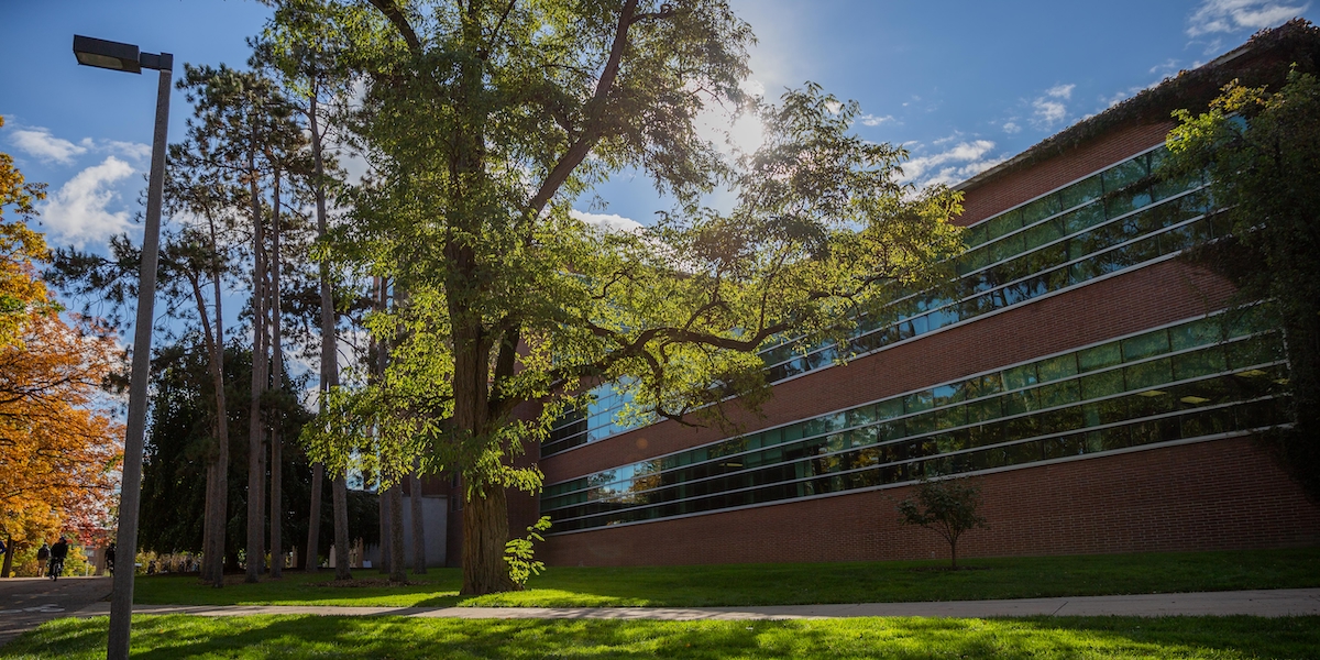 A STRIDE towards success: MSU program prepares students with ...