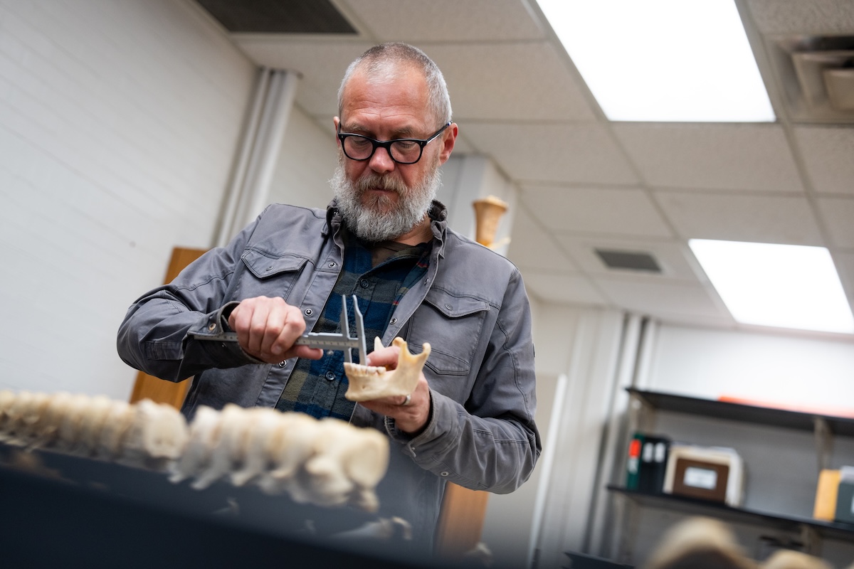 MSU to create first-of-its-kind database for analyzing human remains ...