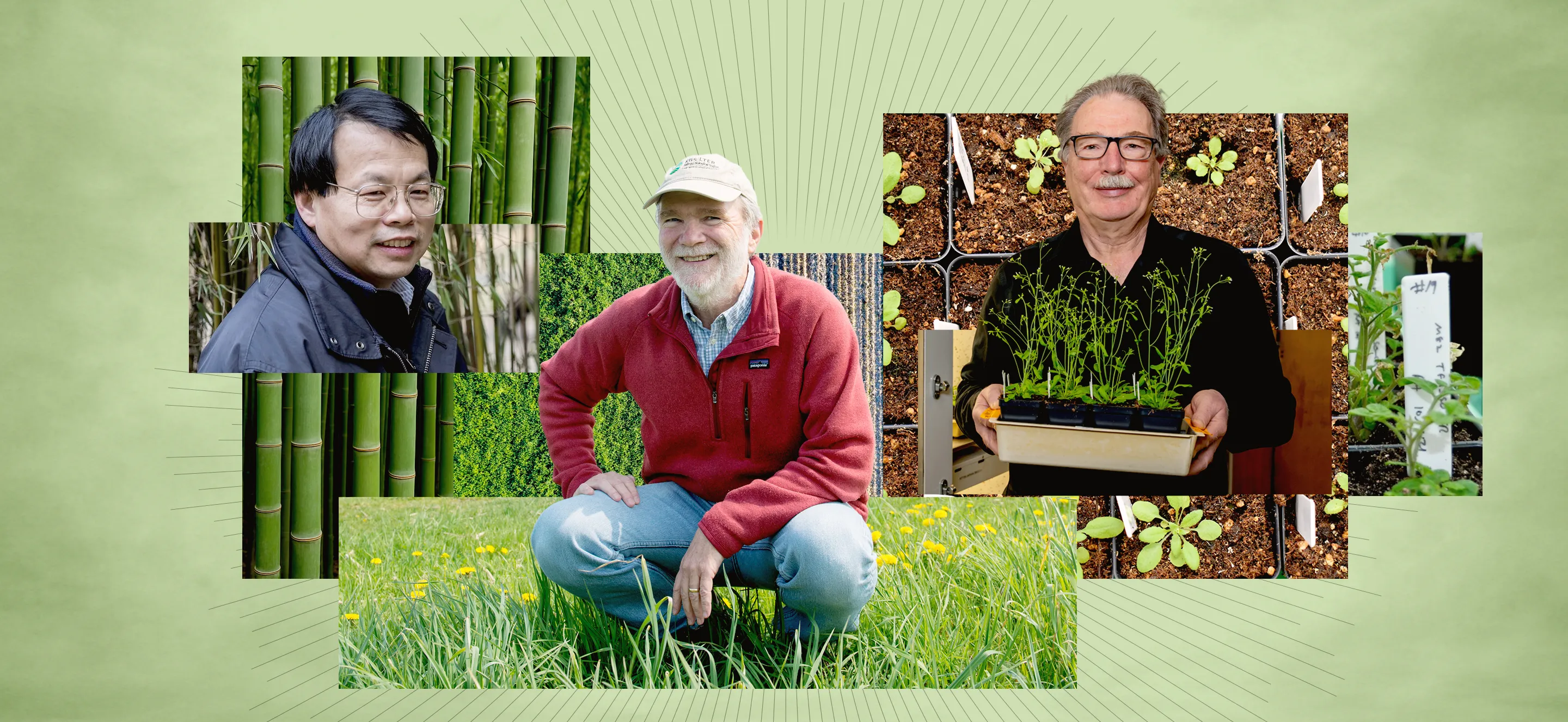 National Academy of Sciences elects 3 MSU faculty as new members ...