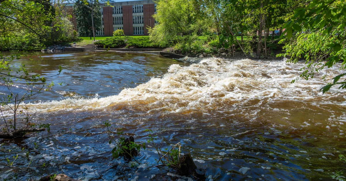 Bringing new life to the Red Cedar River | MSUToday | Michigan State ...