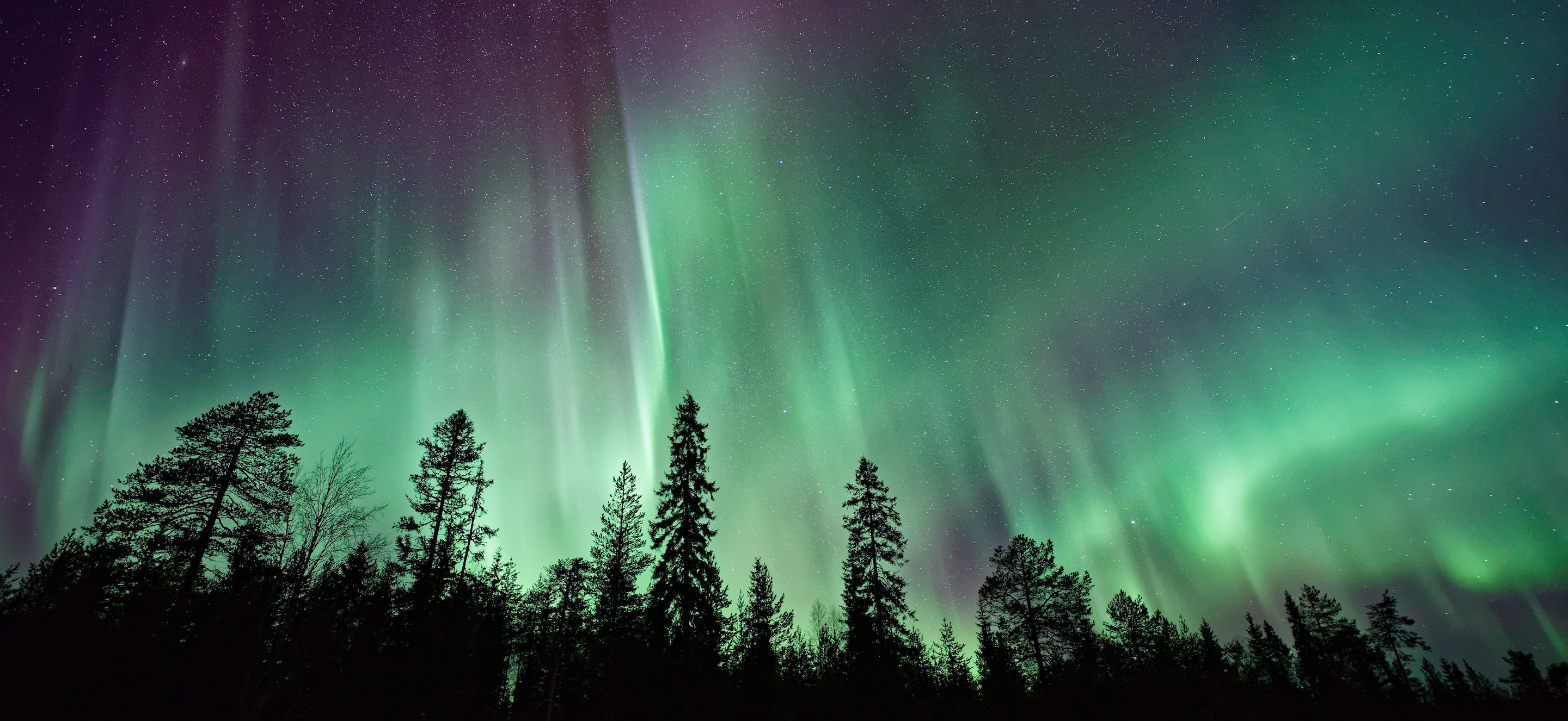 What are the Northern Lights? | MSUToday | Michigan State University