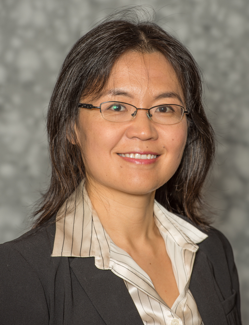 New Associate Dean | College of Engineering | Michigan State University