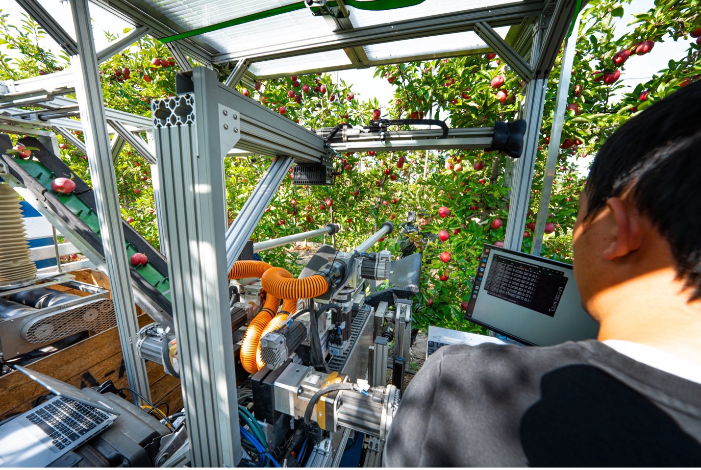 Apple of My AI: MSU’s Improved Robotic Apple Picker | College of ...