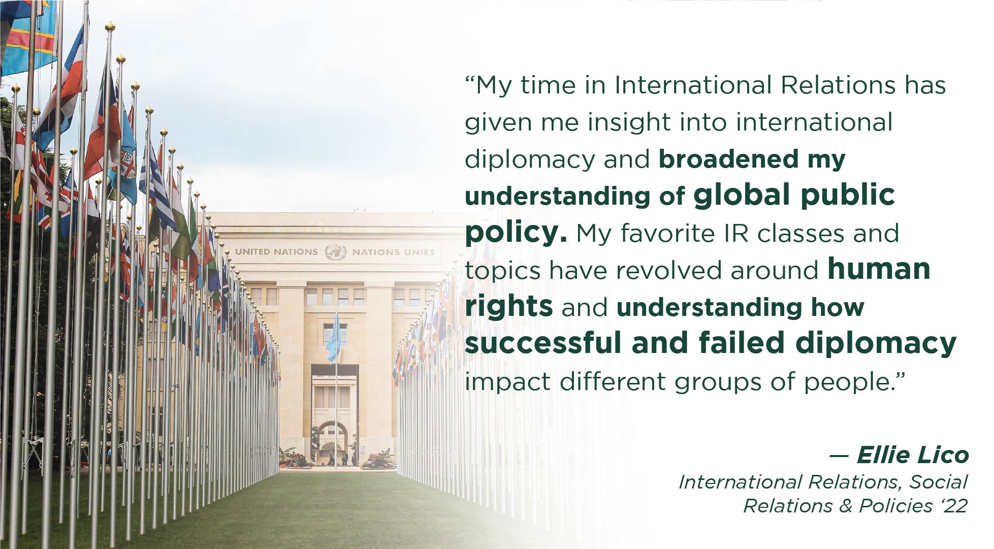 International Relations | James Madison College | Michigan State University