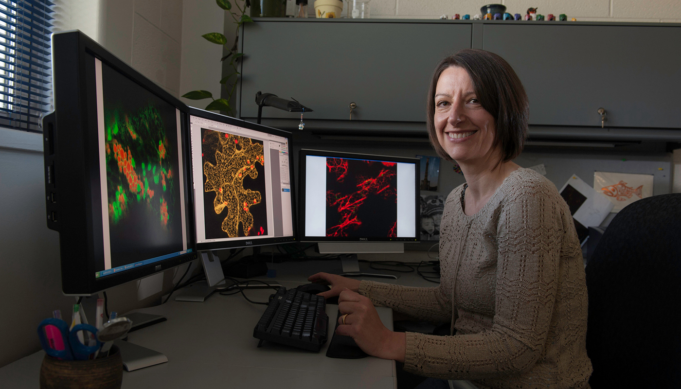 Feeding the Future | Spartan Magazine | Michigan State University