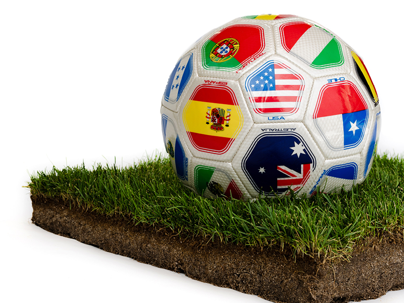 World Class Grass | Spartan Magazine | Michigan State University