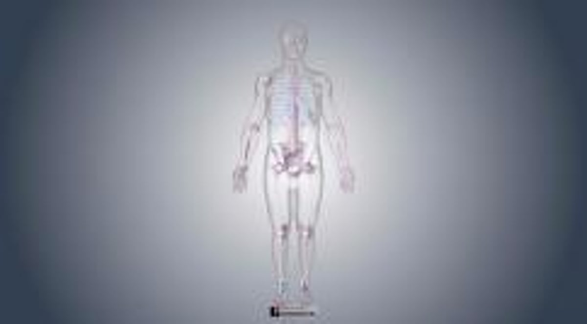 Overview of Fractures - Injuries and Poisoning - Merck Manual Consumer ...